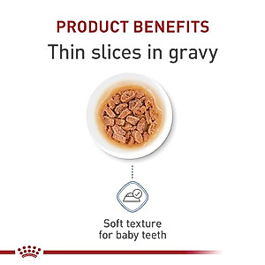 Royal Canin Size Health Nutrition X-Small Puppy Thin Slices in Gravy Wet Dog Food, 3 oz can 12-Pack