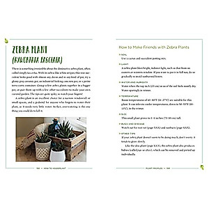 How to Houseplant: A Beginner’s Guide to Making and Keeping Plant Friends