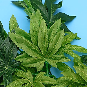 POPETPOP Reptile Plants Hanging - Terrarium Plants with Suction Cup for Bearded Dragons Lizards Geckos Snake Pets and Hermit Crab Tank Habitat Decorations - 12 inches