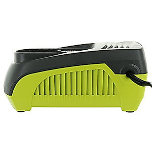 Ryobi P131 One+ Portable Dual Chemistry Lithium Ion or NiCad Vehicle Charger