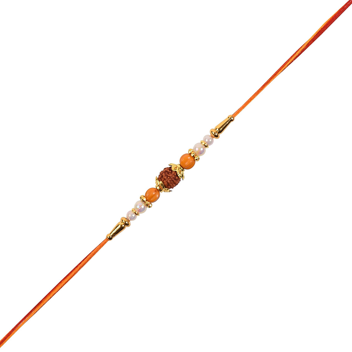 Amba Handicraft Rakhi for Brother/Rakhi/Rakhi Set of 12 / Rakhee/Designer rakhi/Send rakhi to USA/Rakhi for Brother with Gift Set/Rakhi Bhaiya Bhabhi/Rakhi Gift Card