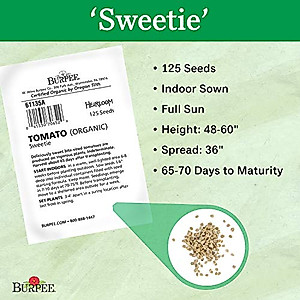 Burpee 'Sweetie' Organic | Heirloom Red Cherry Tomato | 125 Seeds
