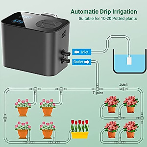 Zollea Automatic Watering System for Potted Plants, Rainproof Plant Waterer Auto Watering Device Drip Irrigation Kit with 60Day Programmable Timer, LED Display, USB Power & Large Capacity Battery