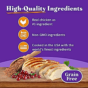 Halo Kitten Grain Free Wet Cat Food Pate, Chicken Recipe, Healthy Cat Food with Real, Whole Chicken , 3oz Can (Pack of 12)