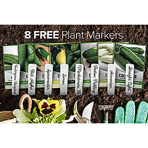Cucumber Seeds for Planting Outdoors 8 Variety Pack Burpless Tendergreen, Beit Alpha, Marketmore 76, Armenian, Boston Pickling, Lemon, Spacemaster, Straight Eight Veggie Seeds by Gardeners Basics