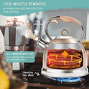 HIHUOS Tea Kettle for Stovetop, 3 Quart Loud Whistling Teapot with Cool Grip Ergonomic Handle Food Grade Stainless Steel Teakettle for Tea, Coffee (Black)