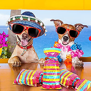 Keeoye 100 Pieces Mexican Fiesta Party Candy Bags Halloween Day of the Dead Treat Bags Cinde Mayo Cellophane Goodies Bags with 100 Silver Twist Ties for Fiesta TaBar (Keeoye-Party Favors-0718)