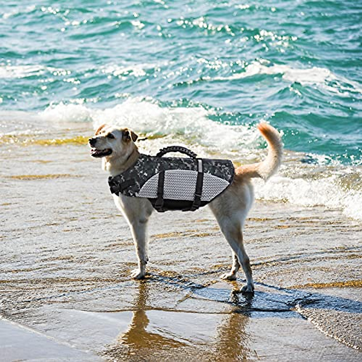 LETSQK Dog Life Jacket Dog Safety Vest with Adjustable Buckles for Small Medium Large Dogs, Pet Life Preserver Jacket with Durable Rescue Handle for Swimming,Surfing,Boating,Hunting
