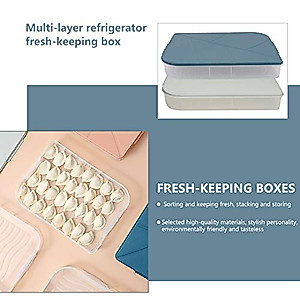 Cabilock 3PCS Refrigerator Dumpling Box Plastic Dumpling Container Fresh Keeping Food Tray Fridge Food Organizer for Veggie Fruit Bun Dough (Random Color)