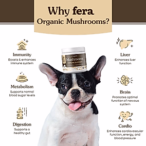 Fera Pet Organics Probiotic and Allergy & Immune Support Mushroom Supplement Bundle for Dogs and Cats – All Natural Probiotics Powder with 5 Billion CFUs per Scoop – Mushroom Blend Immune Booster