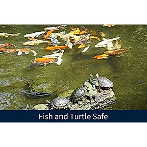 Snout & Shell Liquid Aquarium Cleaner for Turtles - Concentrated Bottle Treats 960 Gallons - Reduce Tank Maintenance & Improve Water Safety, 16 Oz