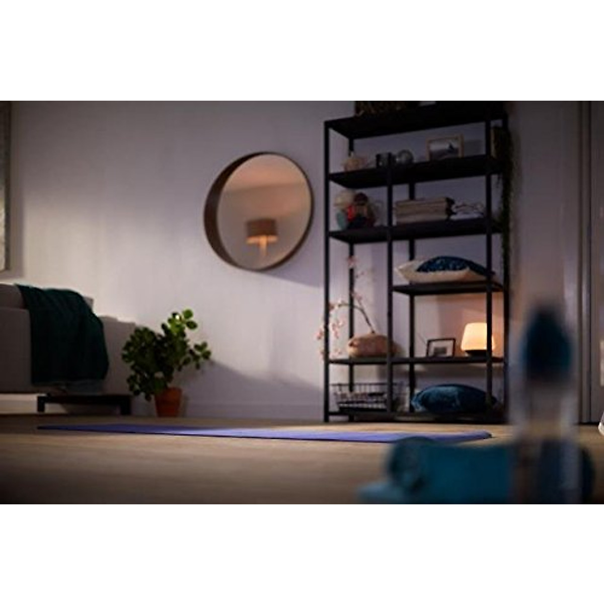 Philips LED Basic Frosted Non-Dimmable A19 Light Bulb - EyeComfort Technology - 800 Lumen - Soft White (2700K) – 8.5W=60W - E26 Base - Old Version - Indoor - 8-Pack