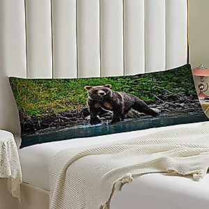 Body Pillow Cover,Grizzly Brown Bear in Lake Alaska Untouched Forest Jungle Printed Long Pillow Cases Protector with Zipper Decor Soft Large Covers Cushion for Beding,Couch,Sofa,Home Gift 20"x54"