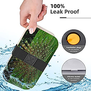 KOOLR Peacocks Print Bento Box Adult Lunch Box With 2 Compartments Stackable For Work Picnic Leak Proof Bento Box