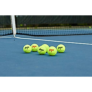 Penn Championship Tennis Balls - Regular Duty Felt Pressurized Tennis Balls - 24 Cans, 72 Balls, Yellow