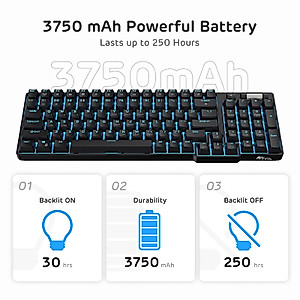 RK ROYAL KLUDGE RK96 90% Triple Mode BT5.0/2.4G/USB-C Hot Swappable Mechanical Keyboard with Magnetic Wrist Rest, 96 Keys Wireless Gaming Keyboard with Software, Blue Backlight
