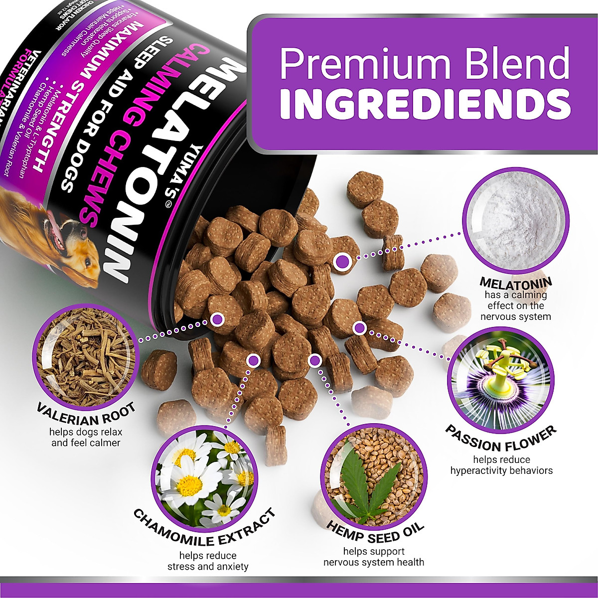 YUMA'S Melatonin for Dogs - 170 Dog Melatonin Chews for Small and Large Dogs - Puppy Melatonin - Dog Sleep Aid - Calming Treats for Stress Anxiety Relief - Calming Chews for Dogs - Dog Sleeping Pills