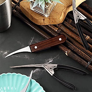 4 PCS Shrimp Deveiner Tool and Peeler, Stainless Steel Shrimp Peeler and Shrimp Cleaner Knife, Easy to Use Shrimp Deveiner, Kitchen Tools