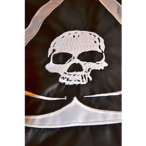 Assassin's Creed IV 4 Black Flag from Limited Collector's Edition