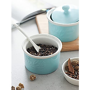 DOWAN Salt and Pepper Bowls, 9 OZ Salt and Pepper Cellar, Salt & Pepper Shakers Set of 2, Stacking Ceramic Salt and Pepper Container with Lid, Salt Keeper, Adorable Decorative Mason Décor, Turquoise