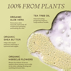 Ingreendients Natural Body Wash With Organic Ingredients - Moisturizing For Dry and Sensitive Skin, Vegan, Cruelty Free, Sulfate Free, Betaine Free (2 x 16 FL. Oz)