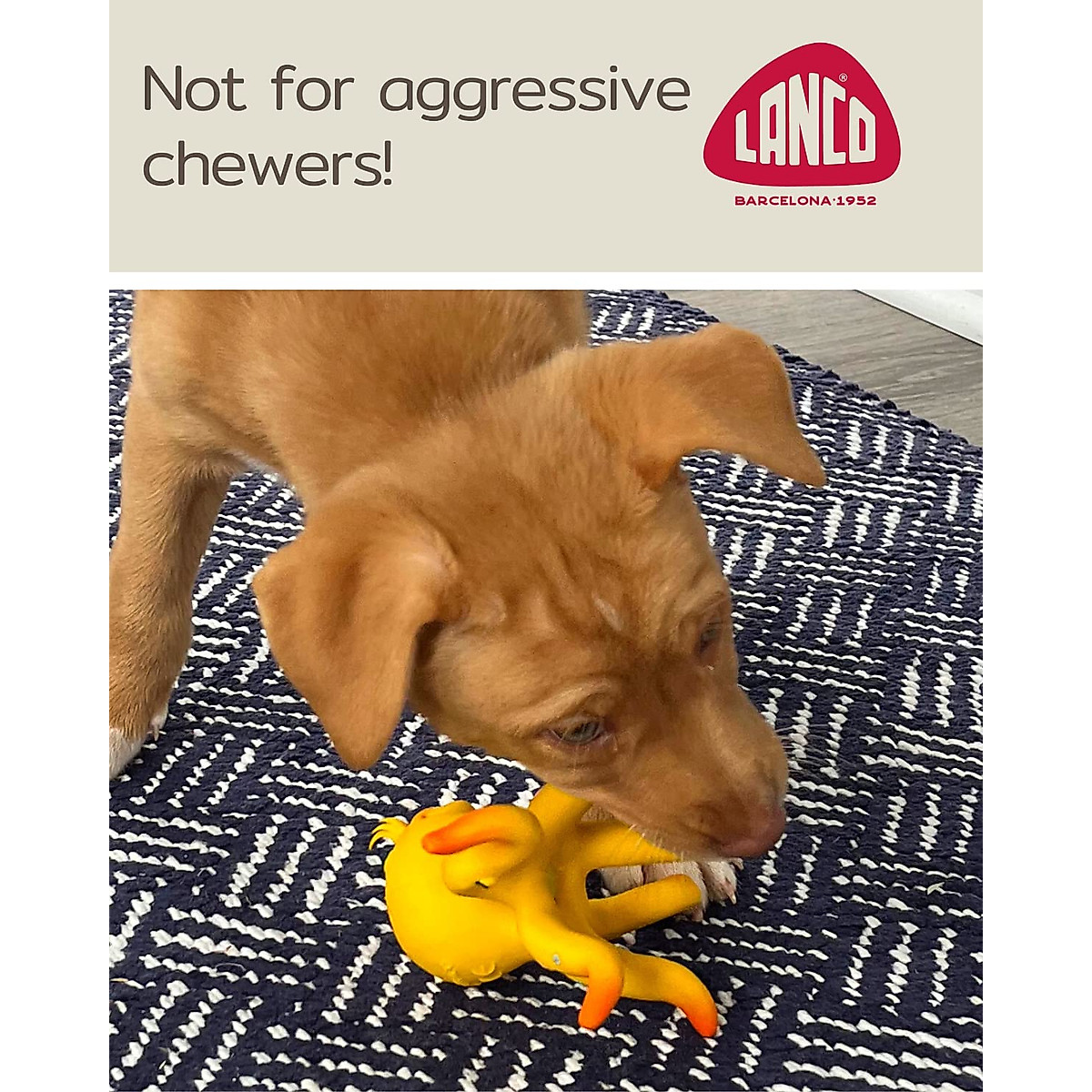 Small Octopus Squeaky Dog Toy Natural Rubber (Latex) Lead-Free Chemical-Free Handpainted Soft Squeaky Puppy Toy Small Breeds