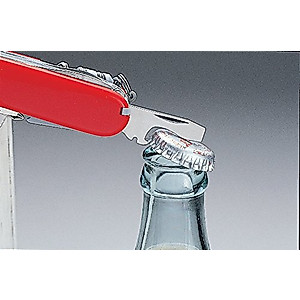 CANIV.SWISSCHAMP SILVER