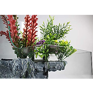 PENN-PLAX AquaTerrium Planting Tank – Hydroponic Aquarium with Integrated Filter System for Live Plants and Fish – 1.85 Gallons