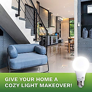 Bioluz LED 40 Watt LED Light Bulbs 2700K Warm White 6 Watts = 40W Non-Dimmable A19 LED Light Bulbs 6 Pack