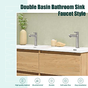 Heyalan Cold Water Only Bathroom Sink Faucet Stainless Steel SUS304 Brushed Nickel Single Handle One Hole Deck Mount Lavatory Faucet (Drain Not Included)