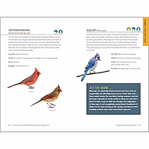 North American Bird Watching for Beginners: Field Notes on 150 Species to Start Your Birding Adventures