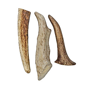 Exotic Nutrition Antler Chews - Safe Small Animal Chew - Natural Source of Healthy Minerals - Chinchilla, Hamster, Degu, Prairie Dog, Squirrel and Other Chewing Pets