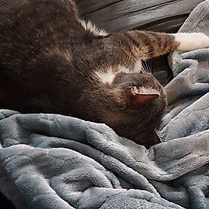 TOONOW Fleece Blanket Super Soft Cozy Throw Blanket 50" x 60", Lightweight Fuzzy Comfy Textured Flannel Blanket Winter Warm Plush Throw Blankets for Couch, Sofa, Bed, Light Grey