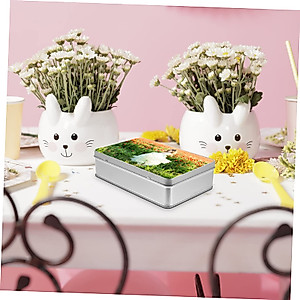 Box Sublimation Candy Tin Box Storage Box with Lid Cake Container Candy Containers Tin Pen Pencil Case Sublimation Metal Box Small Tin Box Tinplate Trinket Box Container