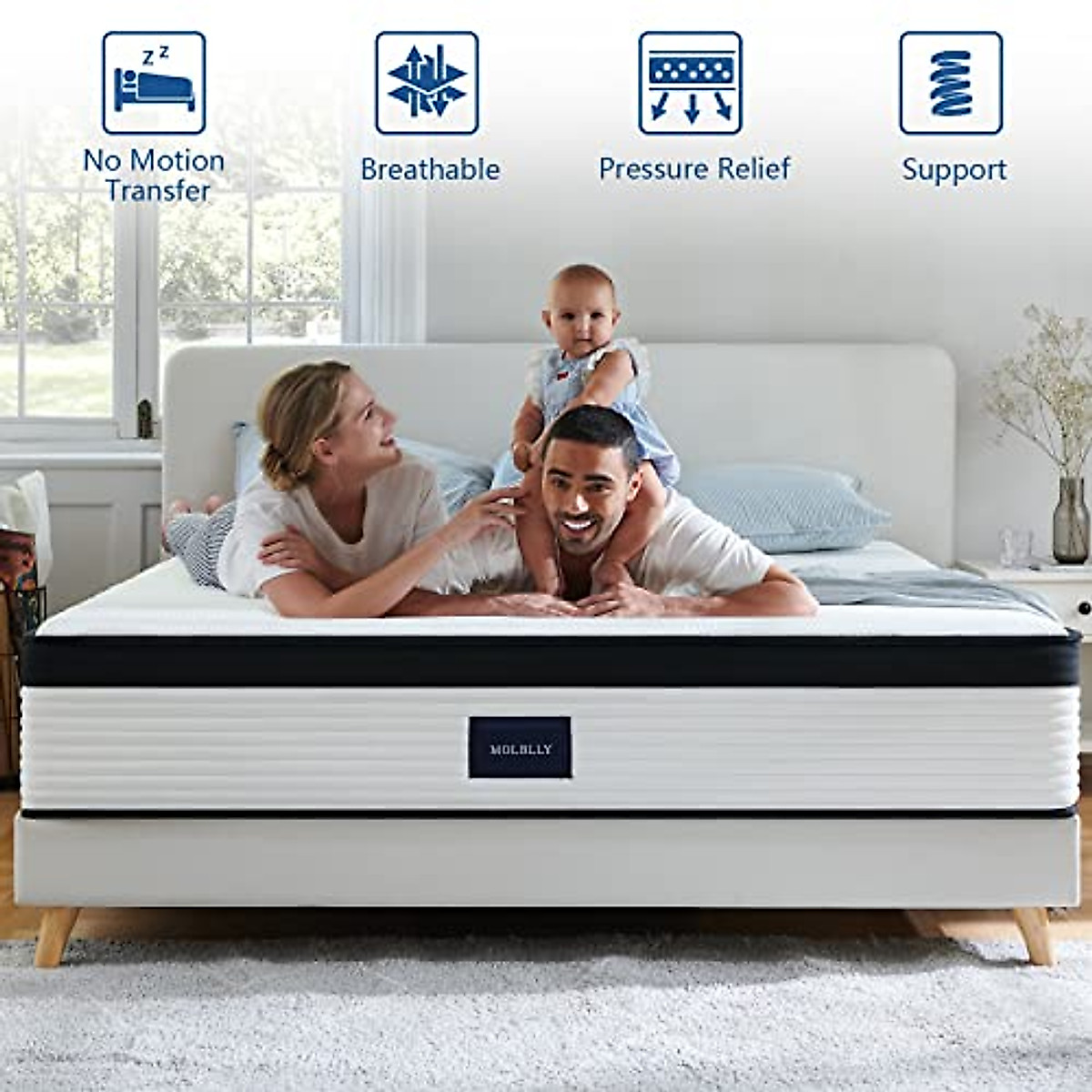 Molblly Queen Mattress, 10 inch Innerspring Mattress in a Box, Ultimate Motion Isolation Individually Wrapped Pocket Coils Mattress, Pressure Relief and Supportive