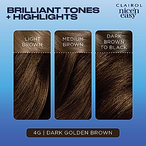 Clairol Nice'n Easy Permanent Hair Dye, 4G Dark Golden Brown Hair Color, Pack of 1