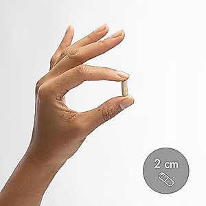 Dr. Mercola Zinc Plus Selenium Dietary Supplement, 90 Servings (90 Capsules), Supports Immune Health, Non GMO, Soy Free, Gluten Free