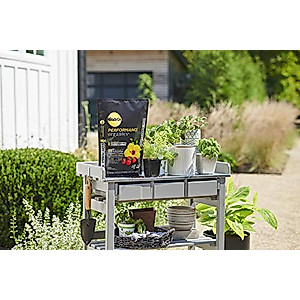 Miracle-Gro Performance Organics All Purpose Container Mix, 6 qt. - Organic, All Natural Plant Soil - Feed for up to 3 Months - All-Purpose Formula for Vegetables, Flowers and Herbs