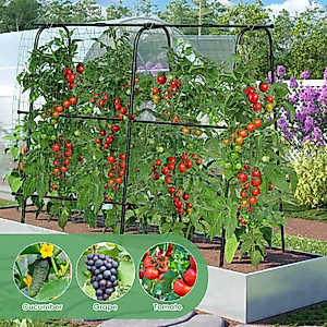 Cucumber Trellis for Garden Vegetable Trellis,63" x 63" U-Shaped Metal Garden Trellis Arch Plant Grow Support Frame for Climbing Plants Support Vegetable Flower Fruits Vine,with Nylon Netting(Black)