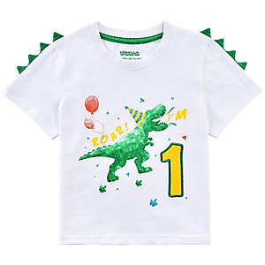 1st Birthday Boy Shirt Dinosaur Birthday T-Shirt 1 Year Old Toddler Dinosaur Outfit Cotton White Dino Party Shirt Roar I’m 1 Short Sleeve Top Tee Toddler One Rex T Shirt for Kids