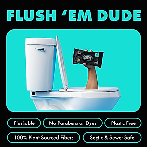 DUDE Wipes Flushable Wipes - 6 Pack, 288 Wipes - Mint Chill Extra-Large Wet Wipes with Eucalyptus & Tea Tree Oil - Septic and Sewer Safe