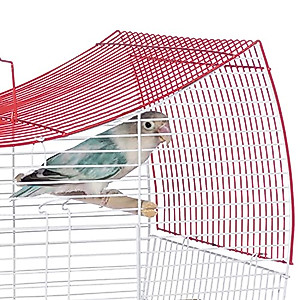 Prevue Pet Products South Beach Wave Top Bird Cage, Coral (Model: SP50110)