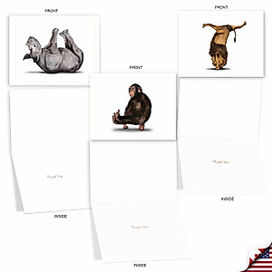 The Best Card Company - 10 Boxed Thank You Notes w/Envelopes, Assorted Stationery to Say Thanks for Men and Women - Zoo Yoga M6547TYG