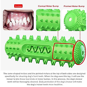 Nico's Friends Interactive Dental Toy for Dogs – Squeaky Puzzle to Clean Teeth and Promote Oral Health – Perfect for Small, Medium, and Large Breeds.