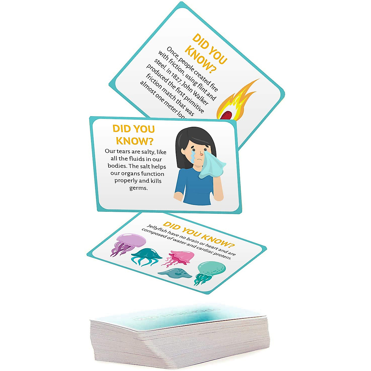 Lunch Box Notes for Kids – Pack of 60 Educational Lunch Box Notes - Lunch Notes Learning Flash Cards Kindergarten or School - School Lunch Accessories for Kids - Fun Facts Series 3