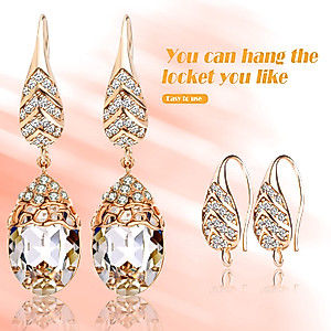 10pcs 14K Gold Cubic Zirconia Earring Hooks Brass French Fish Hooks Ear Wires with Loop Hole Dangle Earrings Connectors with a Plastic Box for Girls Women DIY Jewelry Making