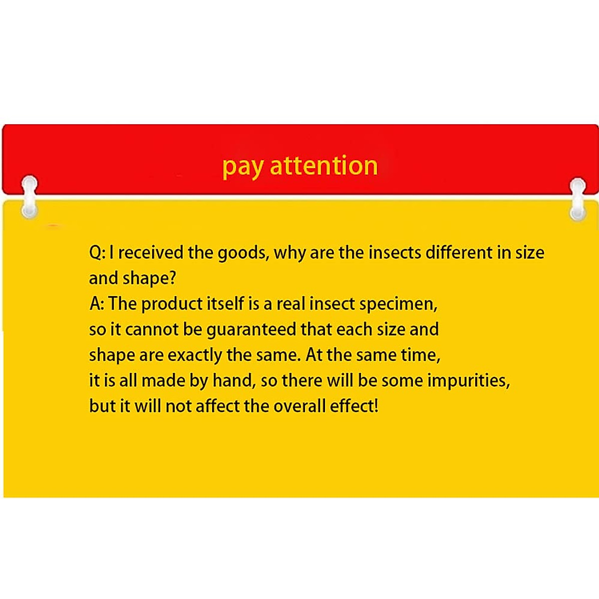 JSNZMTSBD Insect Resin,Real Insect Spider Specimen Science Classroom Taxidermy Resin Desk Paperweight Articulated Specimen for Science Education - Toothless Hand Crab