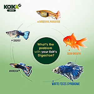 KOIKA BAC+ Aquarium Probiotics, Immunity Boosting, Disease Resistance & Improve The Digestive System (BAC+,105ml)