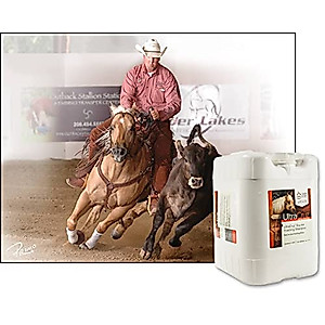 UltraCruz Equine Foaming Horse Shampoo, 5 Gallon Refill
