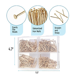 Mr. Pen- Nail Assortment Kit, 600 Pcs, 4 Sizes, Gold, Small Nails, Nails for Hanging Pictures, Finishing Nails, Wall Nails for Hanging, Pin Nails, Hardware Nails, Assorted Nails, Galvanized Nails.
